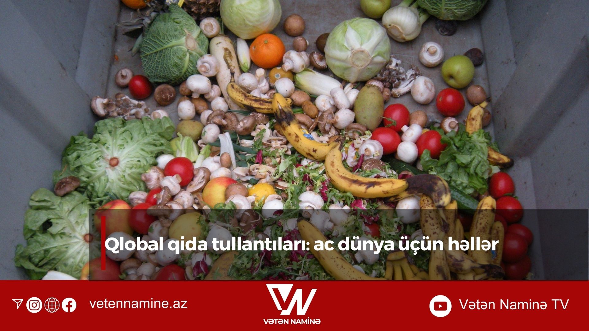 Qlobal qida tullantıları: ac dünya üçün həllər - Vətən Naminə